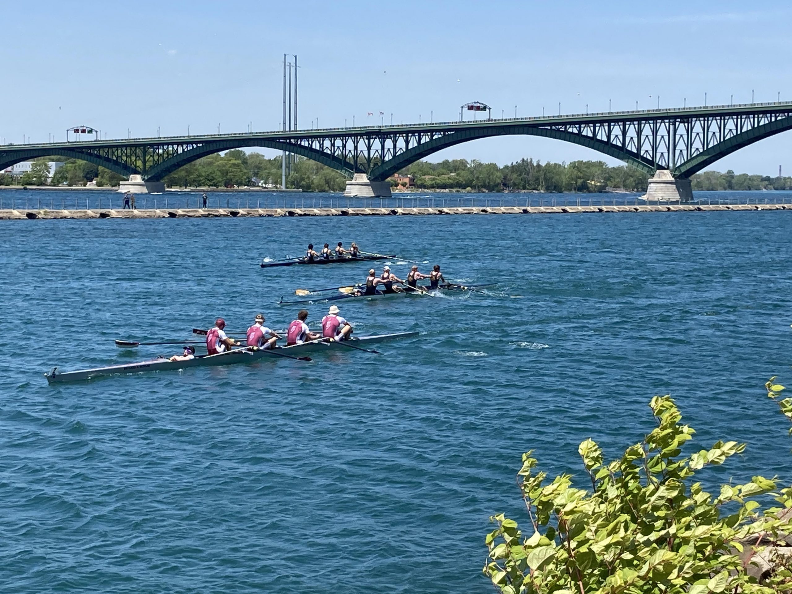 High School Rowing Signups Ongoing | News, Sports, Jobs - Post Journal